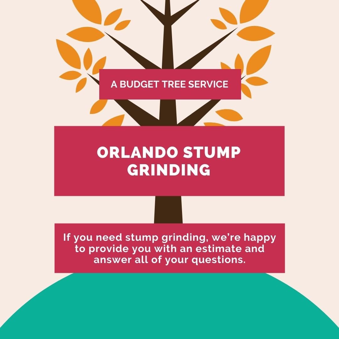 Orlando Stump Grinding-A Professional Stump Grinding ...