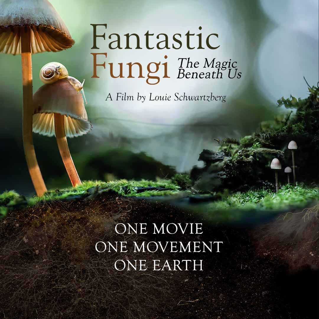 “FANTASTIC FUNGI”: UN DOCUMENTAL QUE NOS INVITA A EXPLORAR LA CONEXIÓN ...