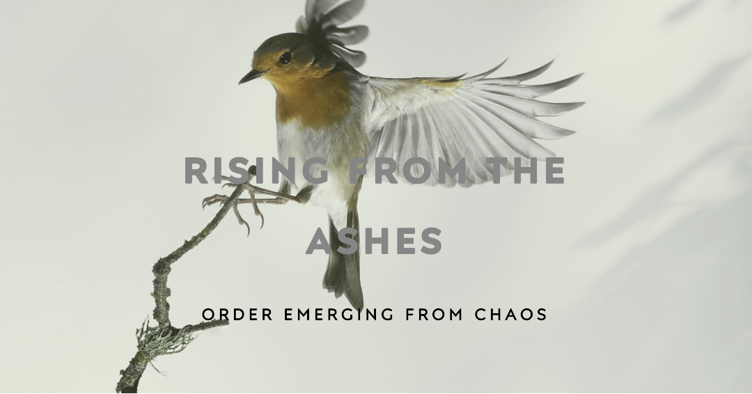 Finding order in chaos.. Lucky are those who truly find their… | by Hamza Shaikh | ILLUMINATION ...