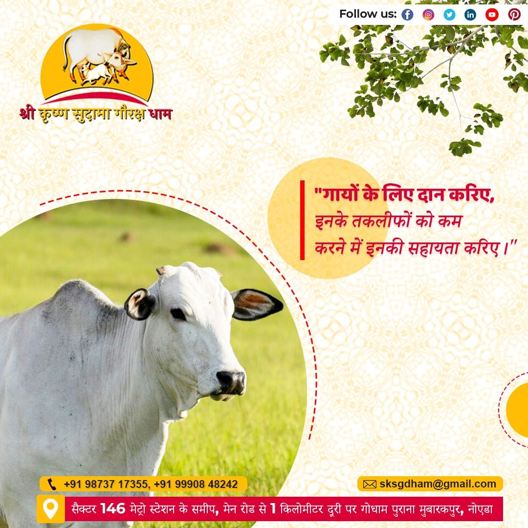 Donate for our mother cows and make sure to save them from the upcoming ...