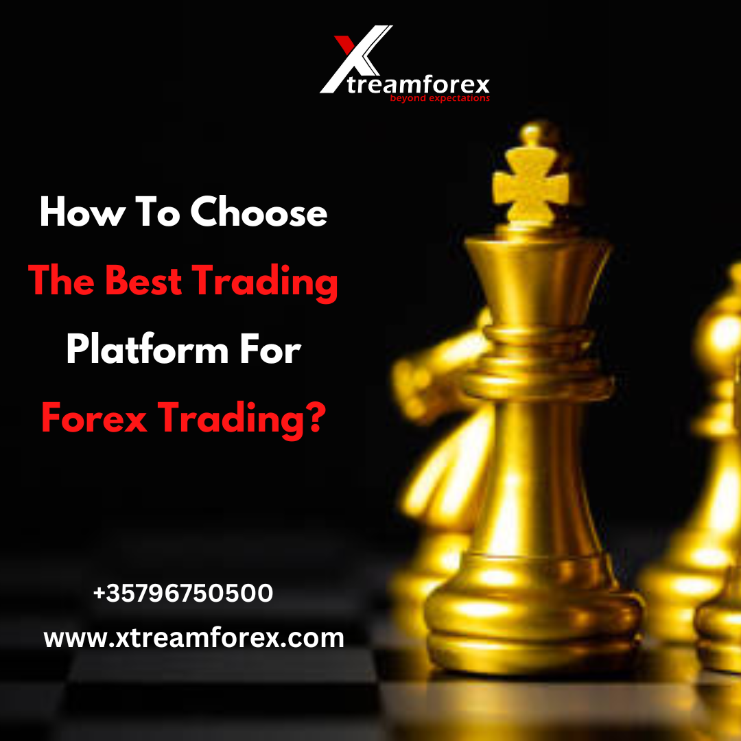 How to Choose the Best Trading Platform for Forex Trading? - Tammana ...