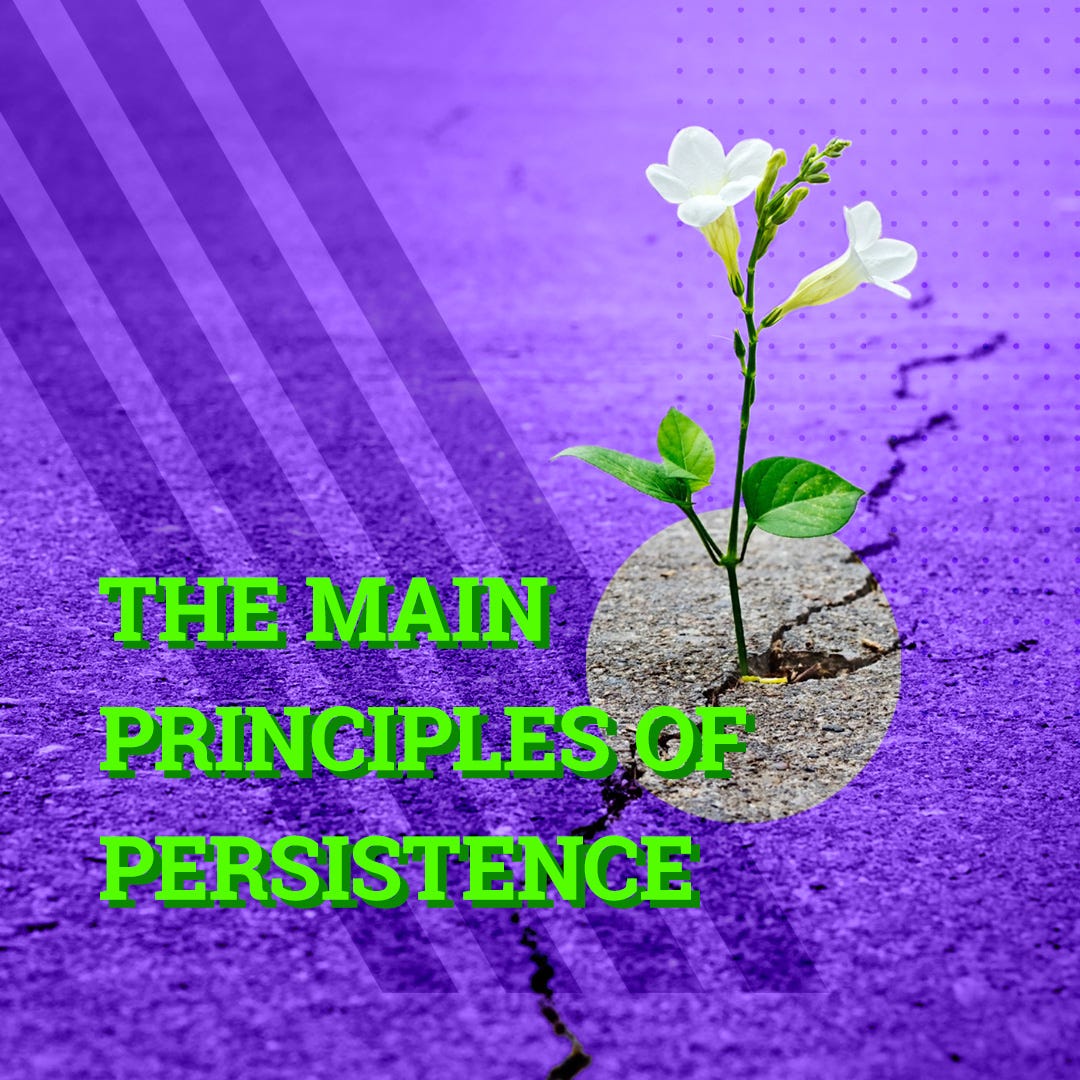 The main principles of persistence | by The Aristippus Code | Medium