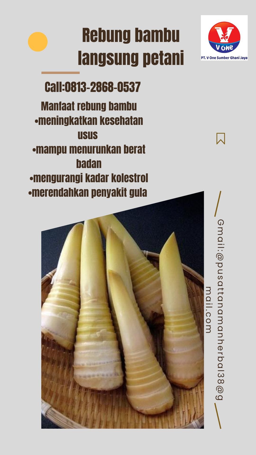 Pusat Budidaya Herbal Rebung Bambu Betung Tambak Bayumas ...