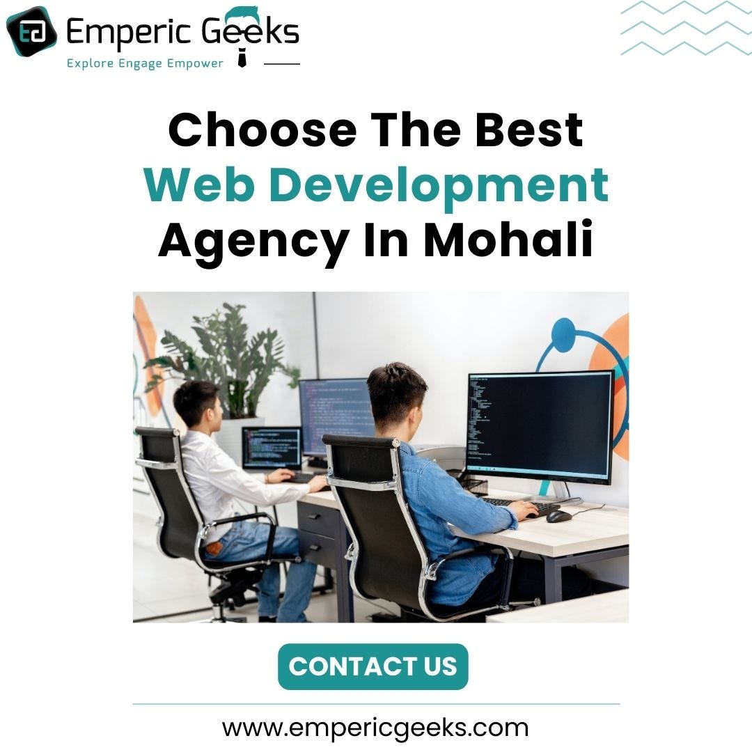 Choose The Best Web Development Agency In Mohali - Seoempericgeeks - Medium