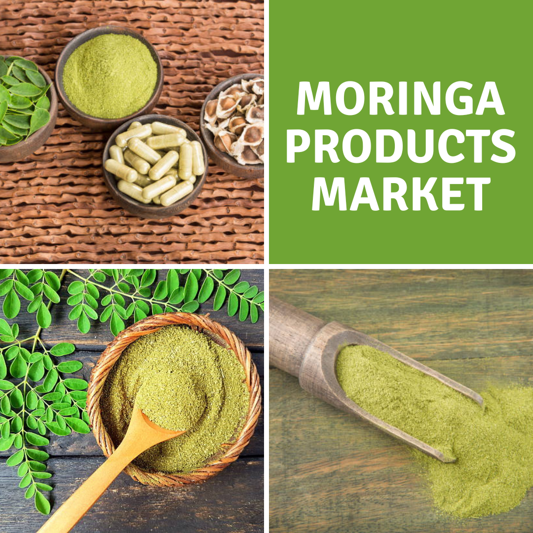 Moringa Products Market: A Nutritional Powerhouse on the Rise | by ...