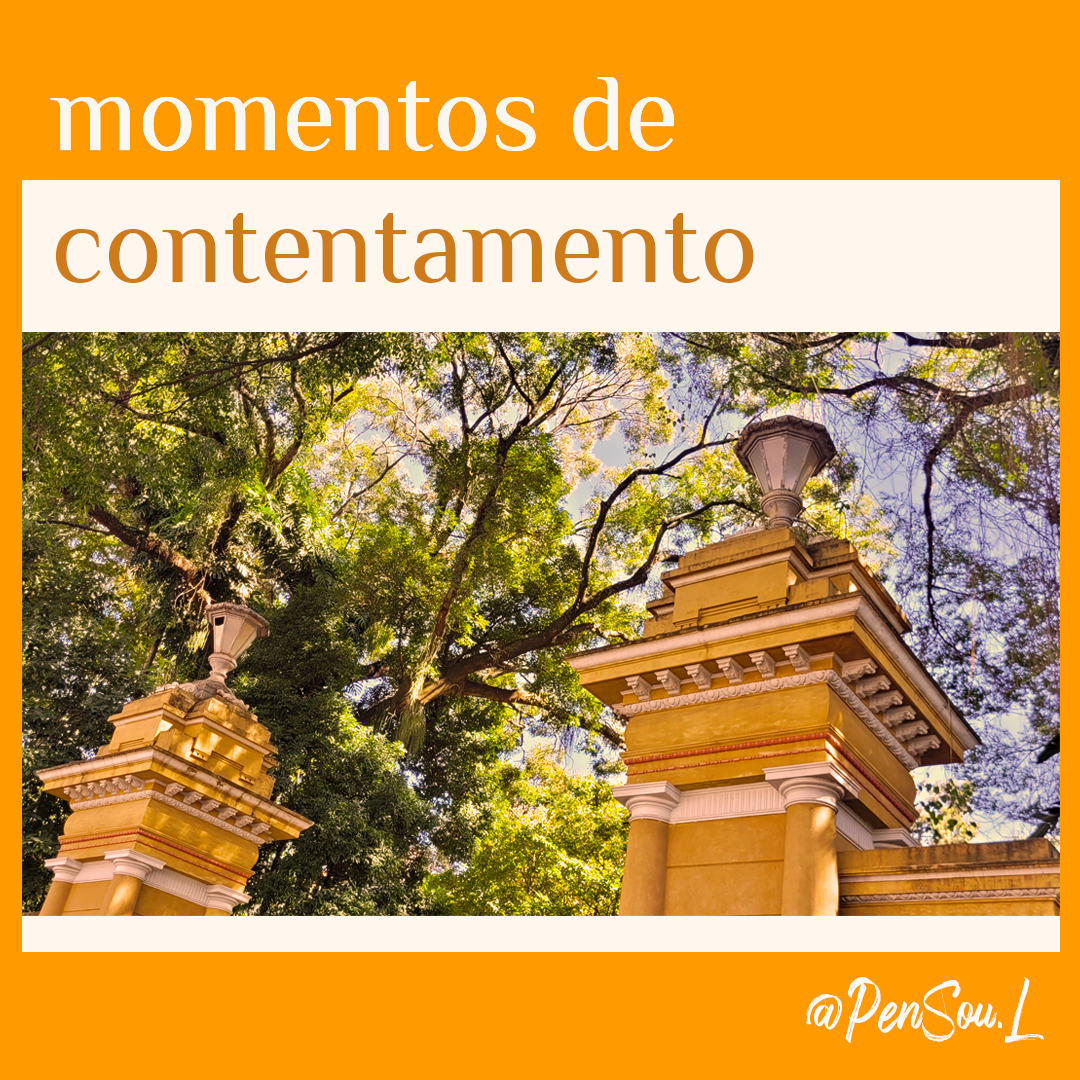 Momentos de contentamento. Em minha mente sempre está rodando uma… | by ...