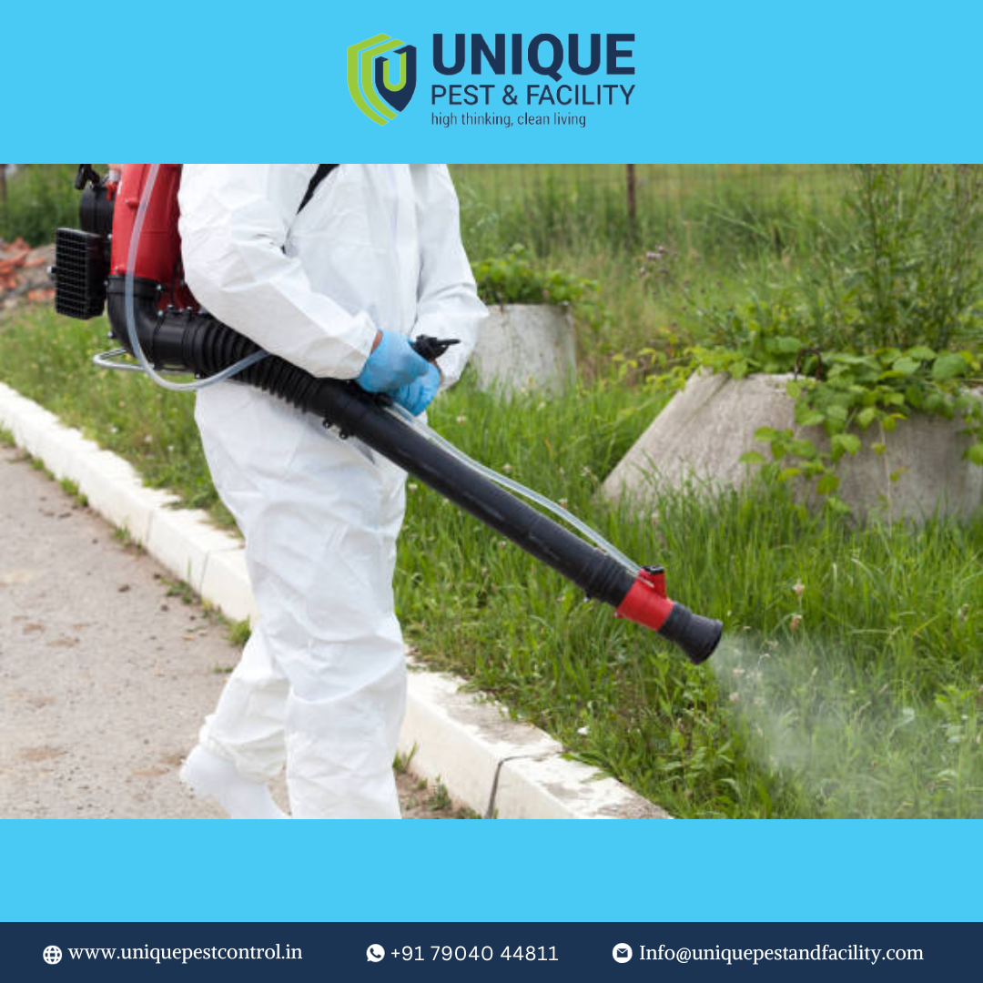 Public Health Initiatives for Mosquito Control and Disease Prevention ...