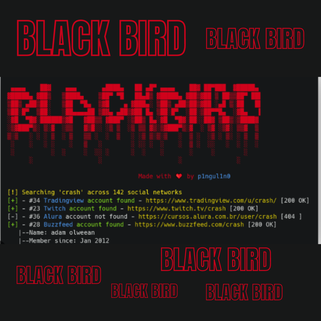 BlackBird. Blackbird is a Python-based tool… | by MD AL AMIN | Medium