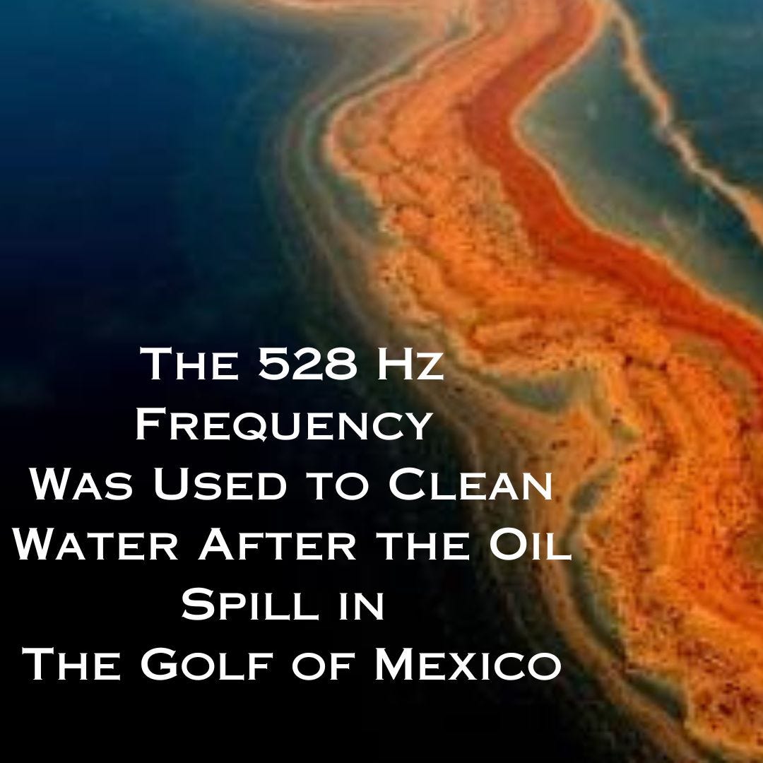Gulf Oil Spill Clean Up