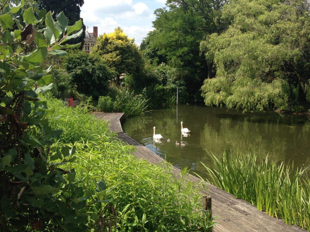 A Realm of Enchantment. A few bonus days in London before I… | by ...