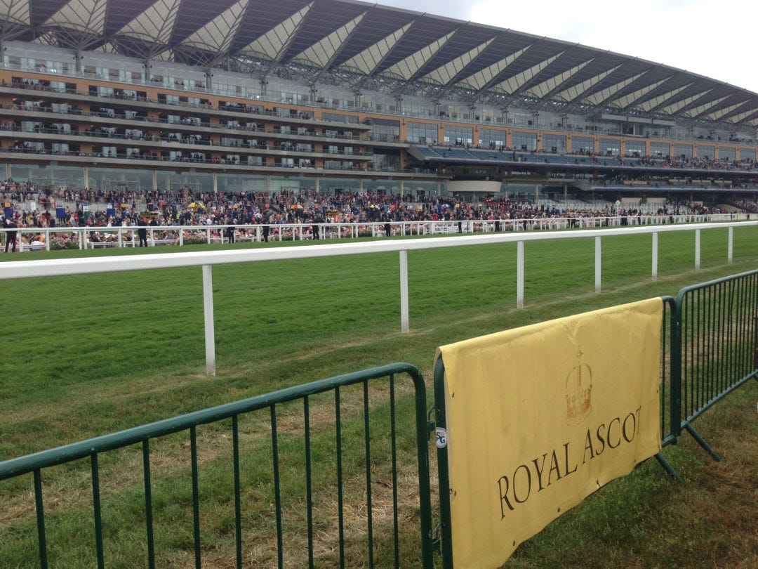 A Day at the Races. While the majority of this summer’s… | by Adrienne ...