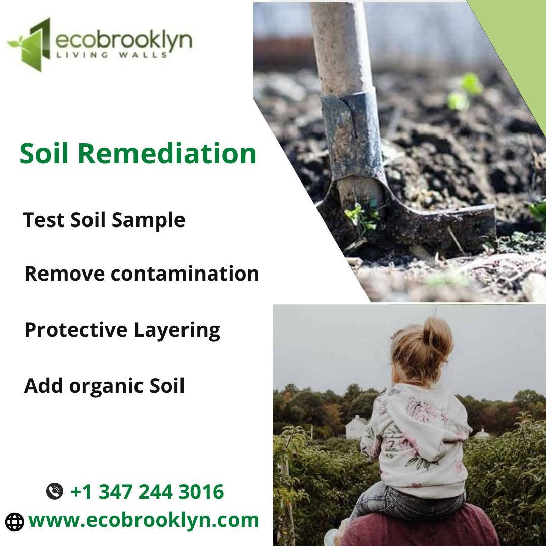 Soil Remediation - Eco Brooklyn - Medium