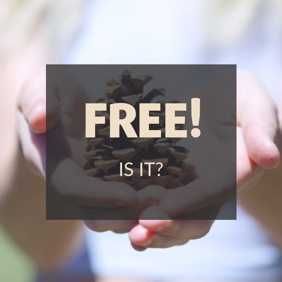FREE! Is it truly free?. When we hear the word free, what… | by Opeyemi ...