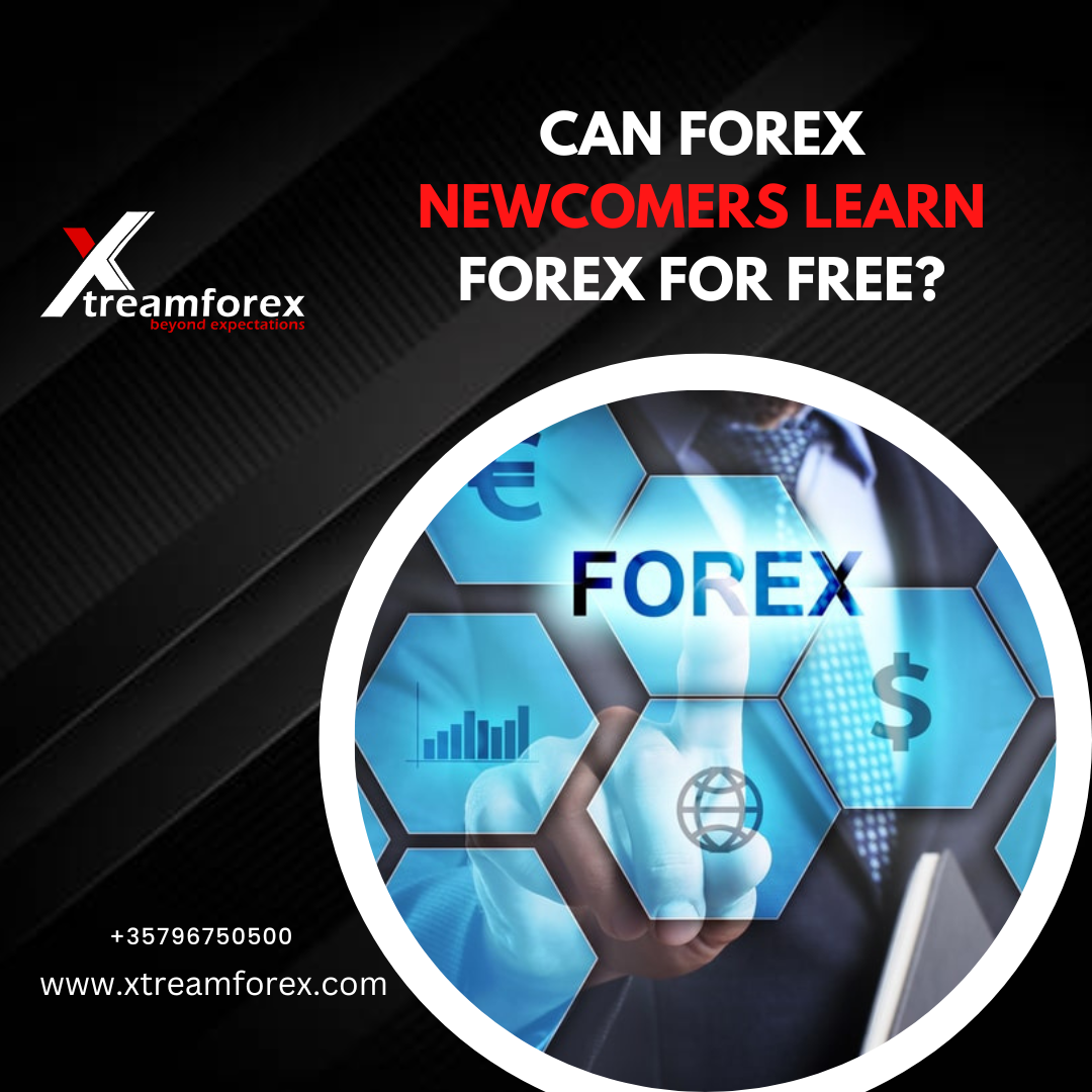 CAN FOREX NEWCOMERS LEARN FOREX FOR FREE? - Tammana - Medium