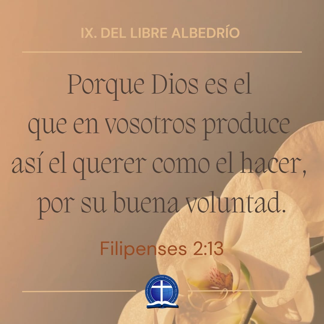 Meditación para Memorizar Filipenses 2:13 | by He Guardado Tus Dichos ...
