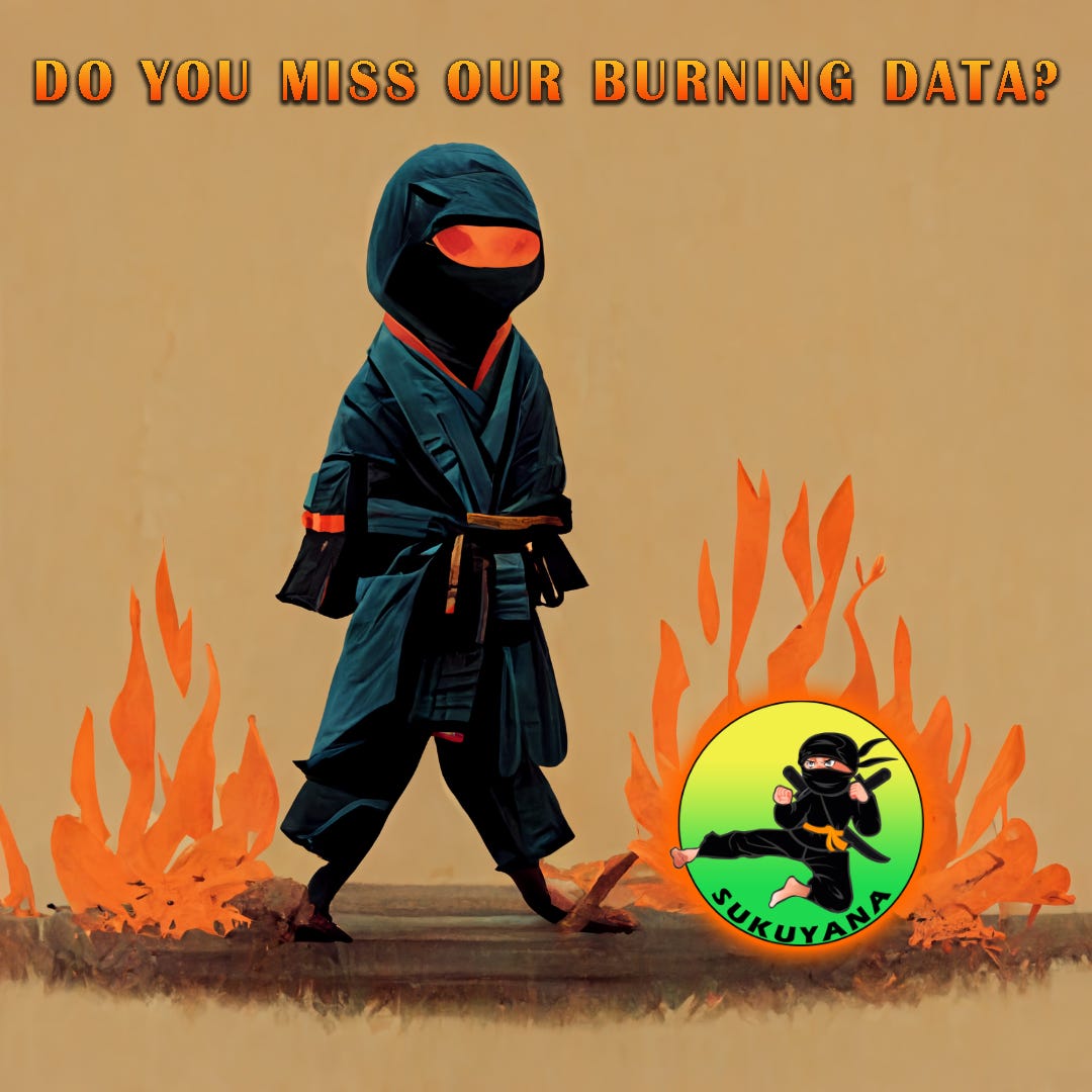 DO NOT FORGET TO CHECK BscScan, OUR BURNING DATA - Sukuyanatoken - Medium