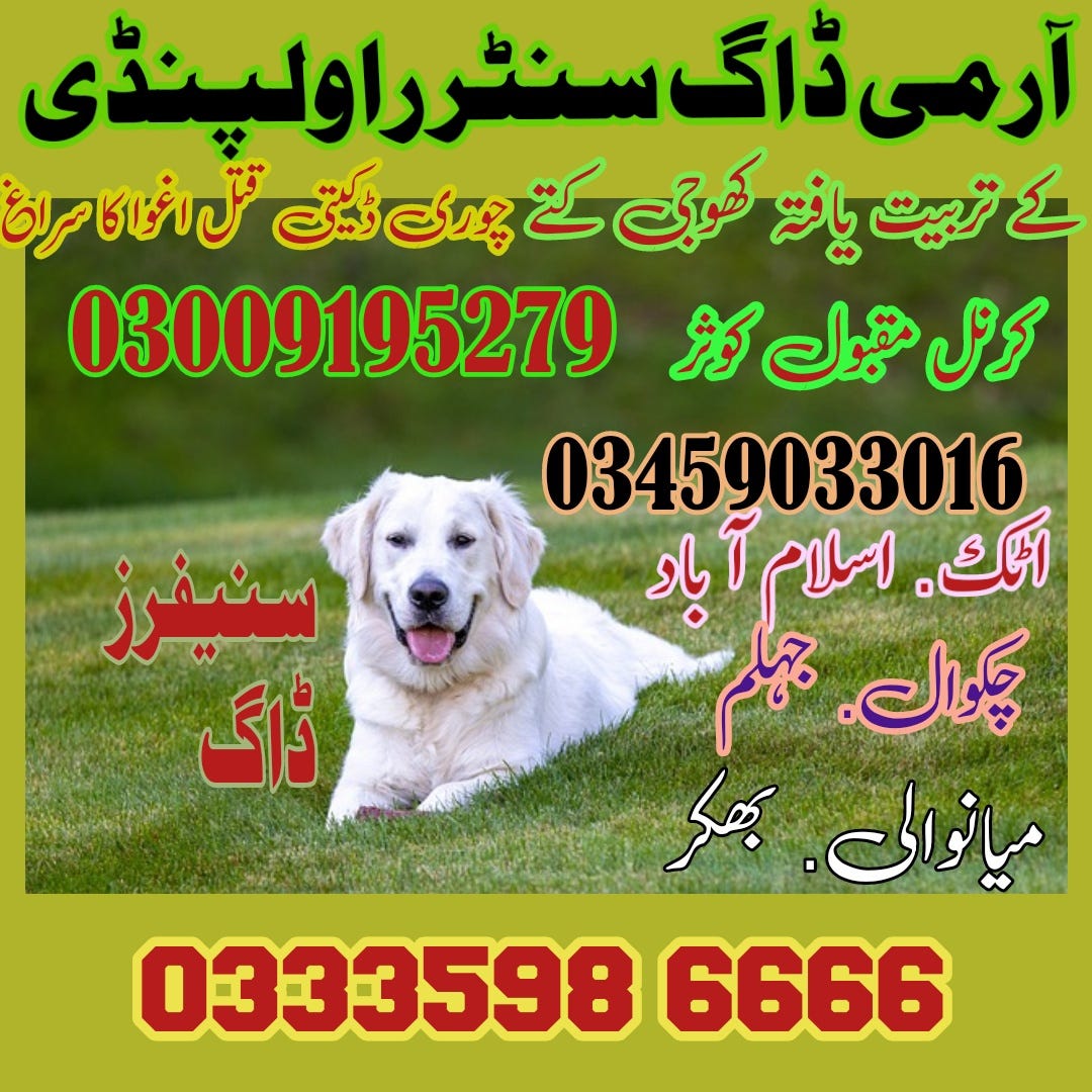 Army Dog Center Rawalpindi | 03009195279 | Military Dogs in Rawalpindi ...