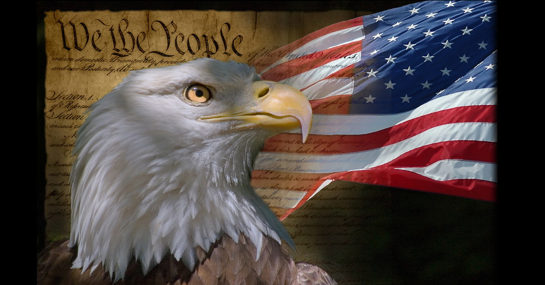 Even The Bald Eagle’s Call Is Propaganda | by Caitlin Johnstone | Medium