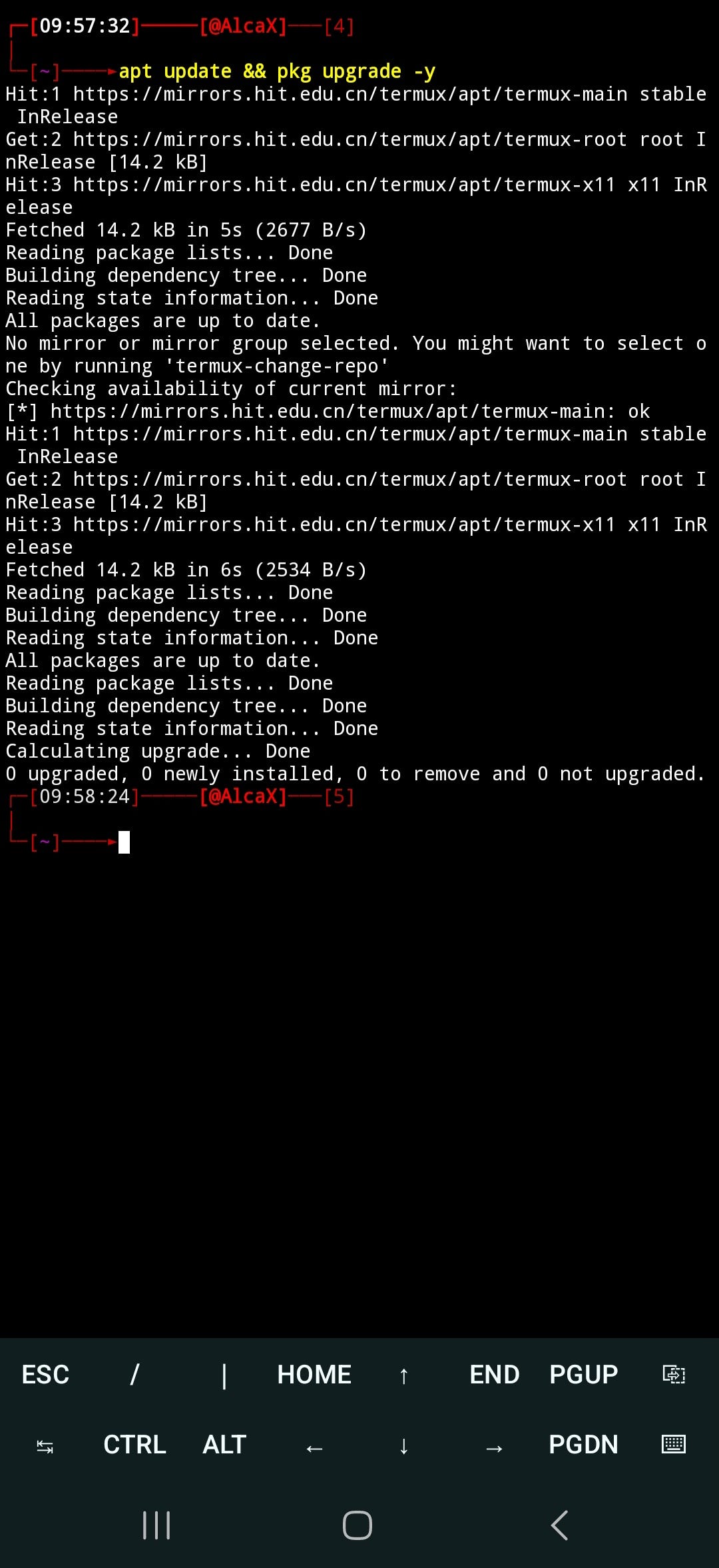 Instalação do Gobuster no Termux. | by AstralSecHaxor | Medium