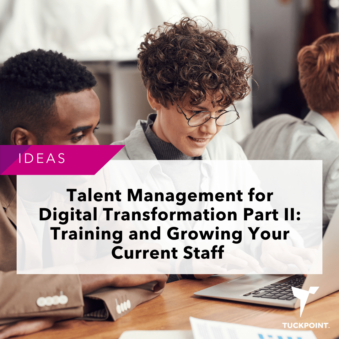 Talent Management for Digital Transformation Part II: Training and ...