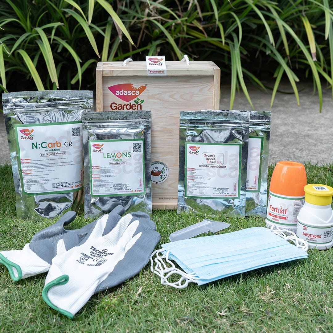 Sky High Greens: The Complete Terrace Garden Kit. - Sapna - Medium