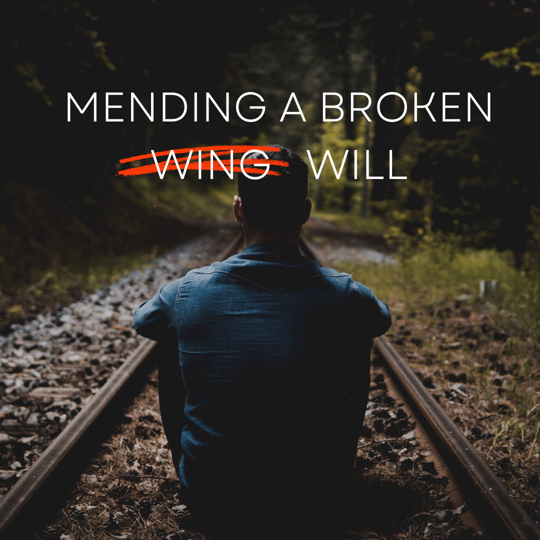 Mending A Broken Will. The past couple of weeks have been… | by Cindy ...