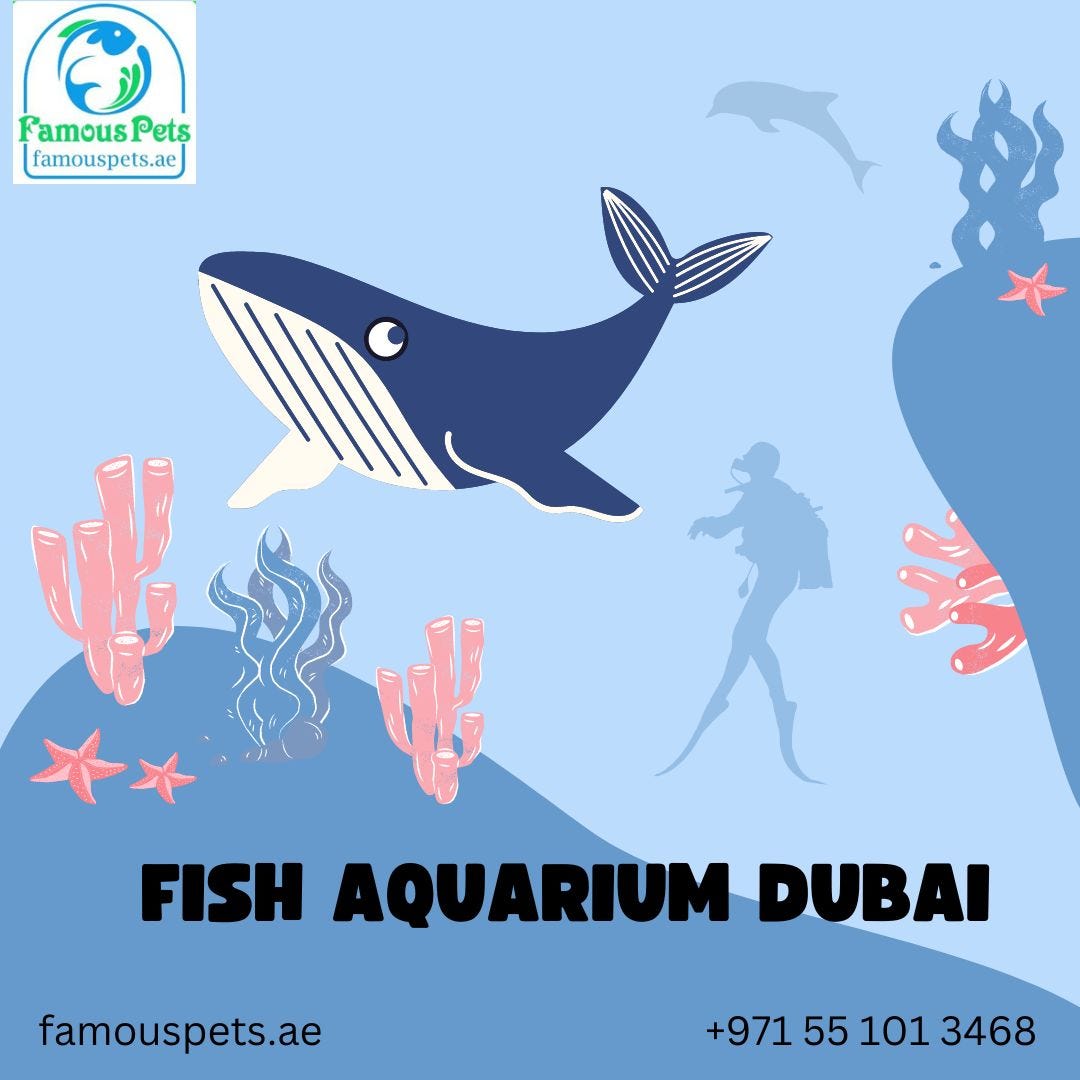 Fish Aquarium Dubai | Famous Pets - Famous Pets - Medium