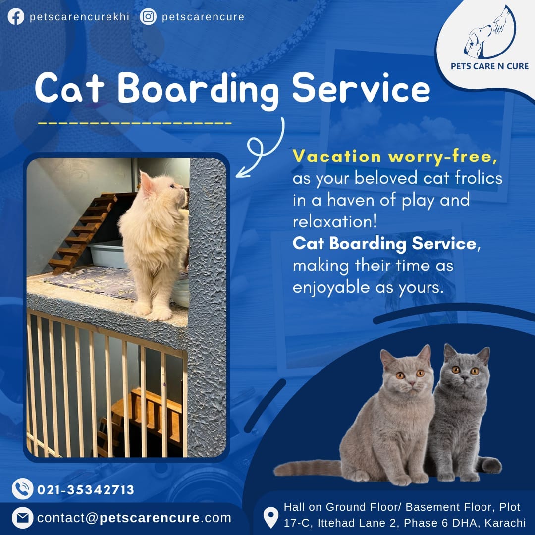 Pet Boarding Services - Petscarencure - Medium