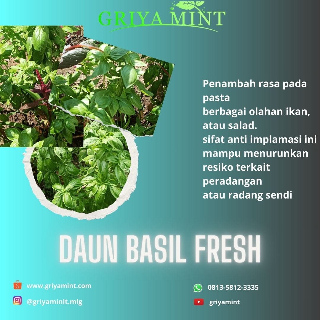 jual tanaman basil rempah” info pemesanan 0813–5812–3335 | by ...
