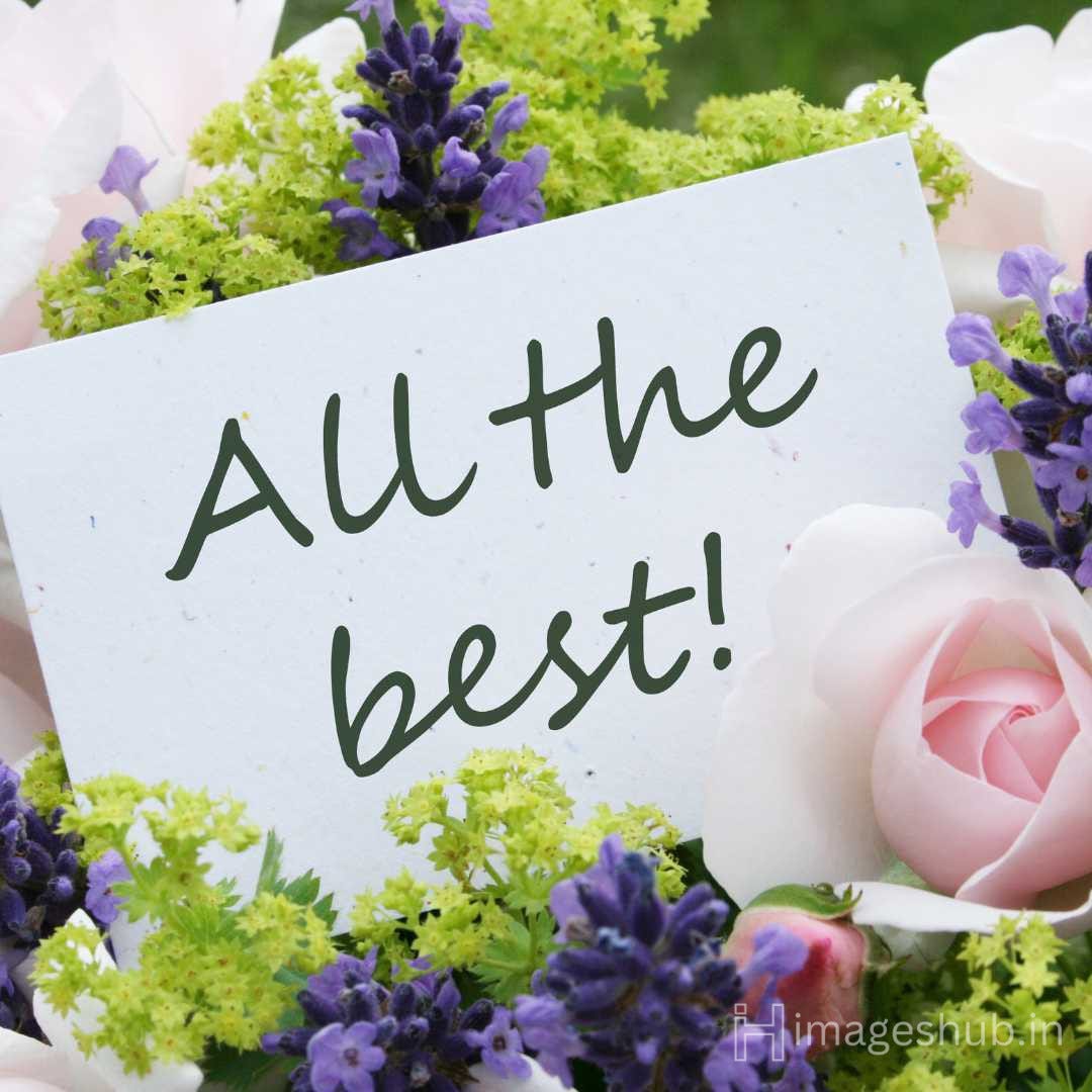 30+ Good Luck Images, Pictures | Best of Luck Images - Images Hub - Medium