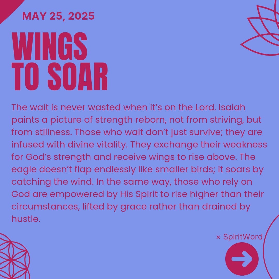 WINGS TO SOAR | by KMI | May, 2025 | Medium