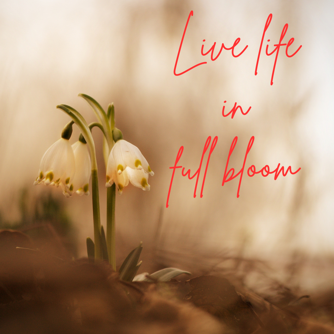 Life in Full Bloom | by Mary Leachman | Medium
