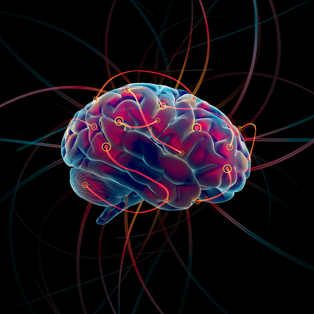 Smart vs. Intelligence. The Pursuit of Success | by Sean Michael Lewis ...