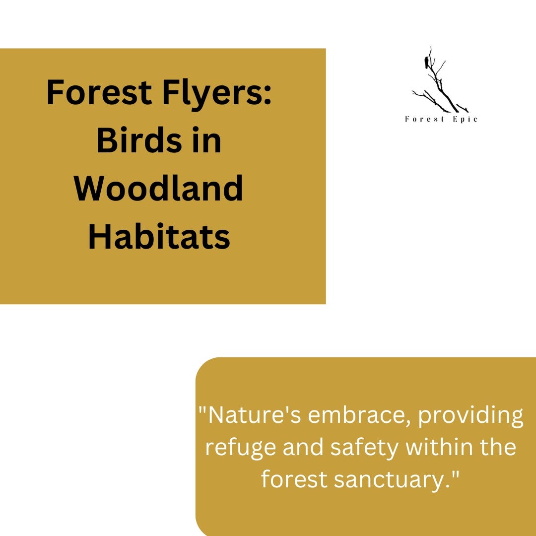 Forest Flyers: Birds in Woodland Habitats - William S. - Medium