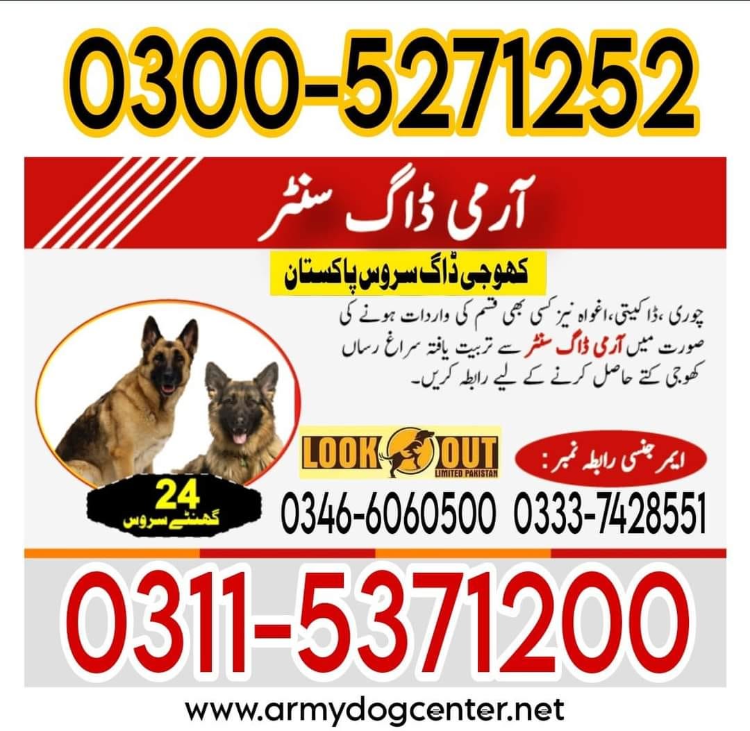 Army Dog Center Pattoki - Army Dog Center - Medium