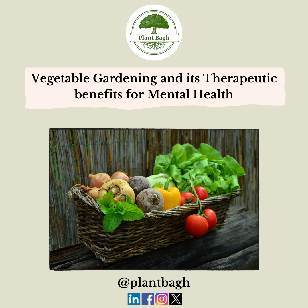 Guide to Vegetable Gardening. Vegetable gardening is more than a… | by ...