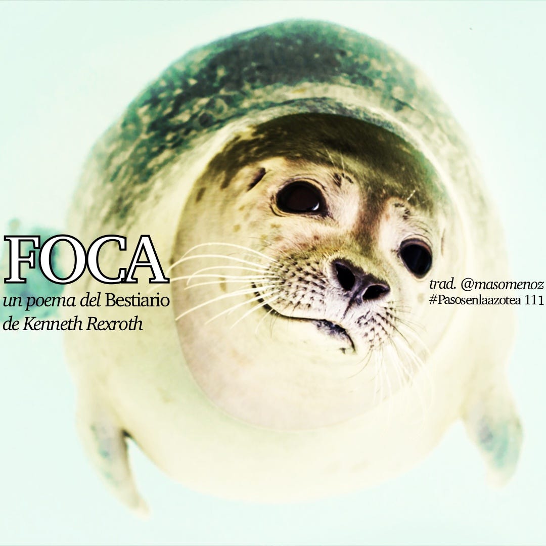 Foca, un poema del Bestiario de Kenneth Rexroth, trad. Javier Norberto ...