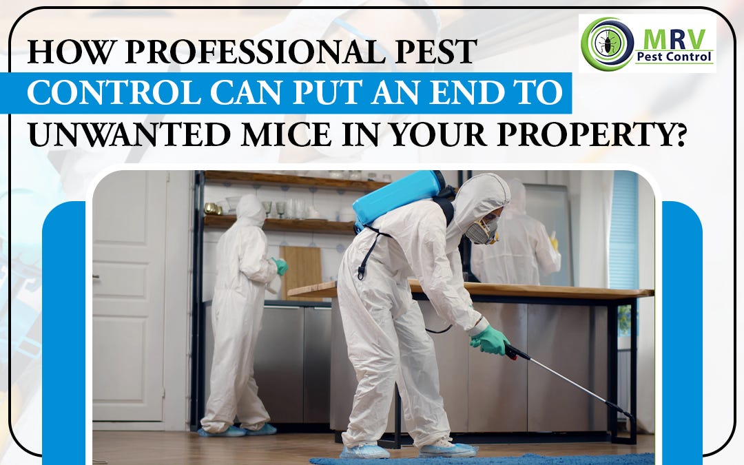 How Professional Pest Control Can Put An End To Unwanted Mice In Your ...