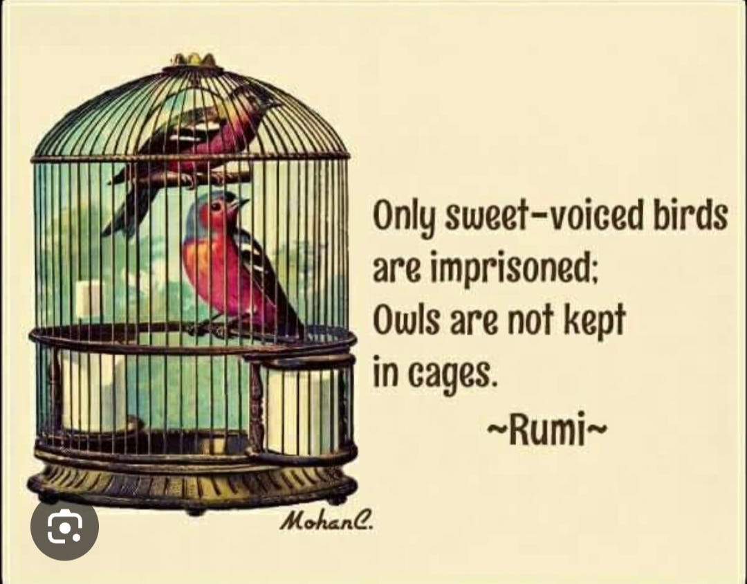 Bad habits are like a bird in a cage. | by Gouri Patil | Medium