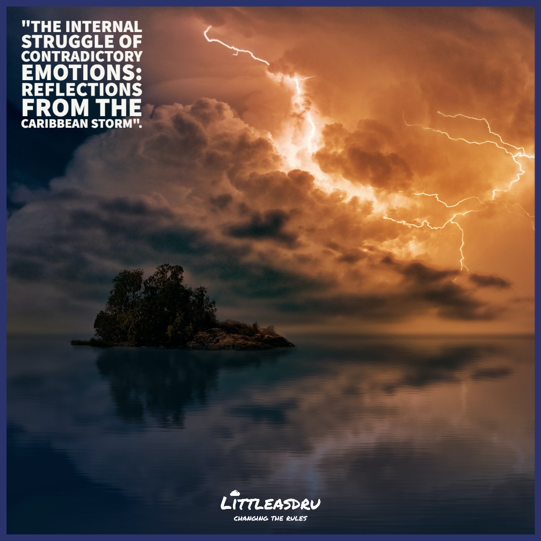 “The Internal Struggle of Contradictory Emotions: Reflections from the ...
