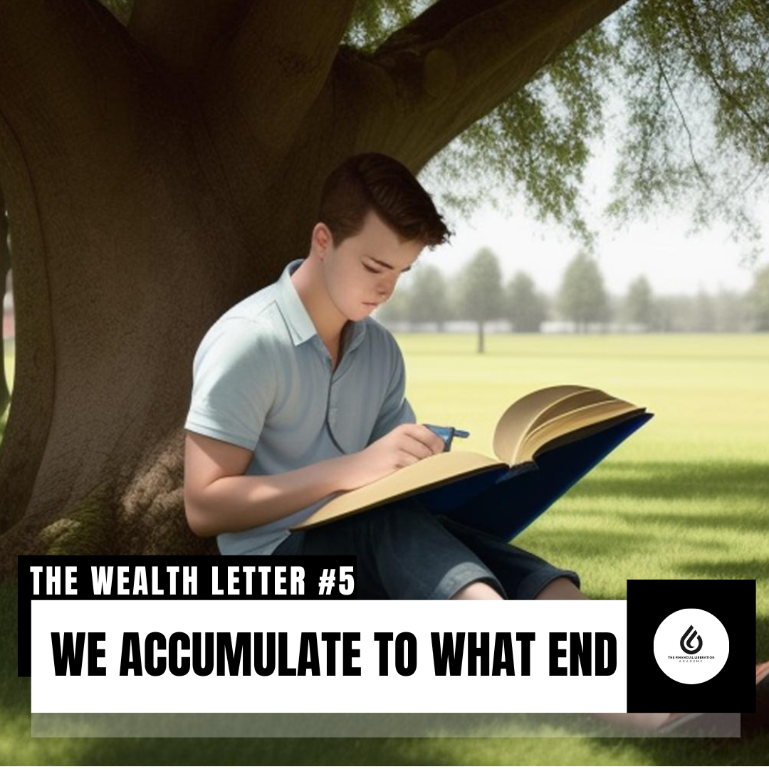 THE WEALTH LETTER #5: THE PURPOSE OF ACCUMULATION IS DISTRIBUTION | by ...