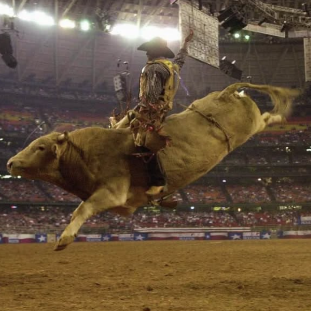 The Legacy and Renaissance of Black Cowboy Culture | by So Sincere ...