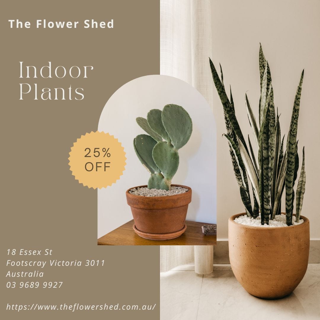 Enhance your home with indoor plants delivered right to your Front Door ...