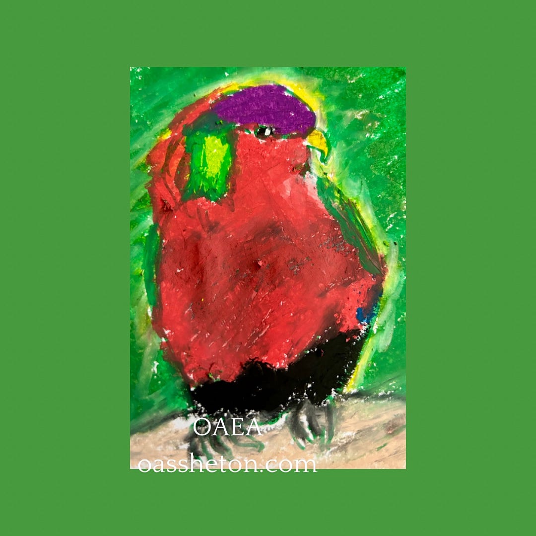 Collared Lory - Olwen Assheton - Medium