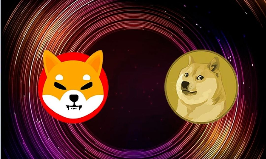DOGE vs SHIB: Which Memecoin will be more successful in the next bull ...