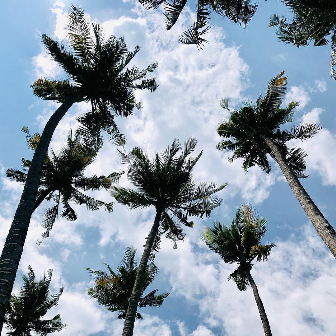 East Coast Park: A Coastal Playground That Captures Your Heart | by ...