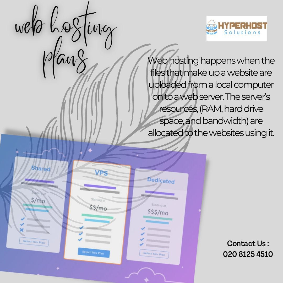 Multiple Options for Cheap Website Hosting for Your Business ...