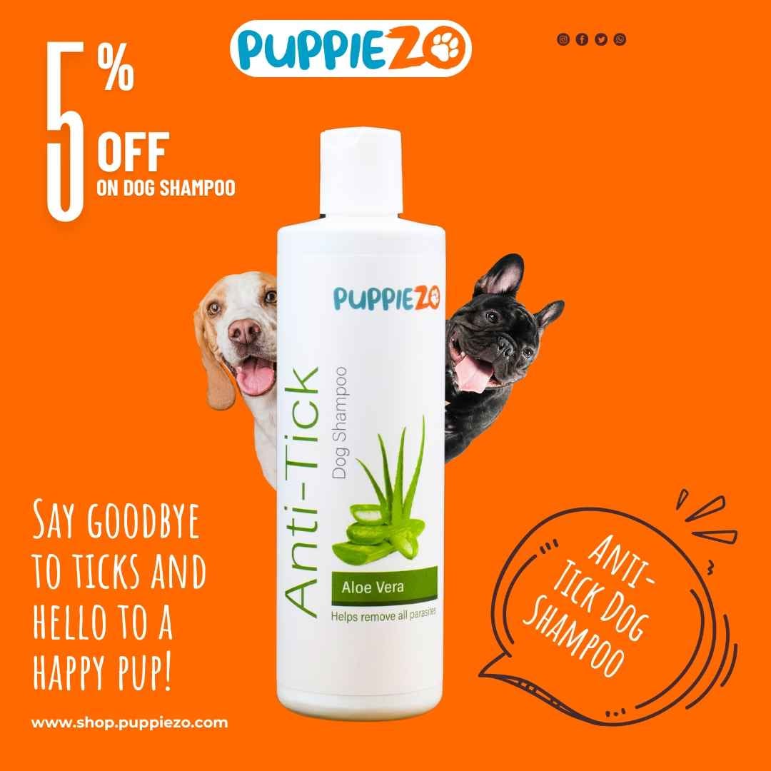 Anti-Tick Dog Shampoo: Protecting Your Furry Friend from Ticks and Tick ...