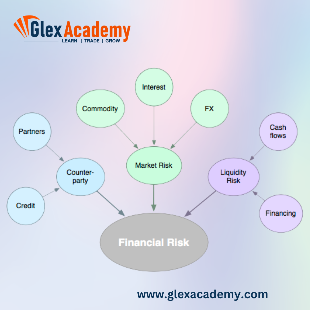 Financial Risk - Glex Academy - Medium