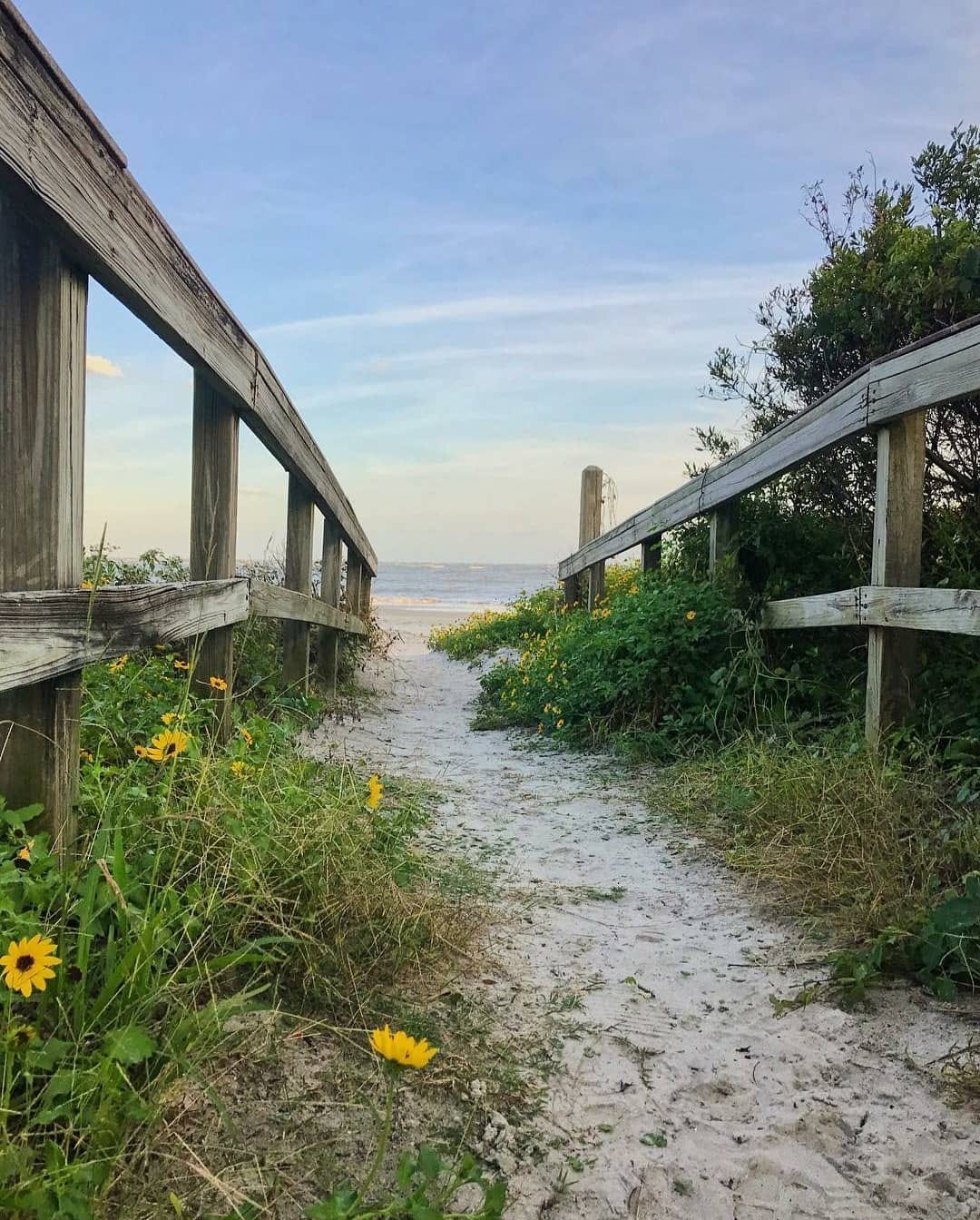 Georgia Beaches - Amazingworld.travel - Medium